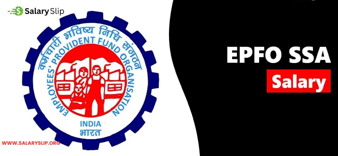 EPFO Salary In 2024: In Hand Salary, Job Profile and Benefit